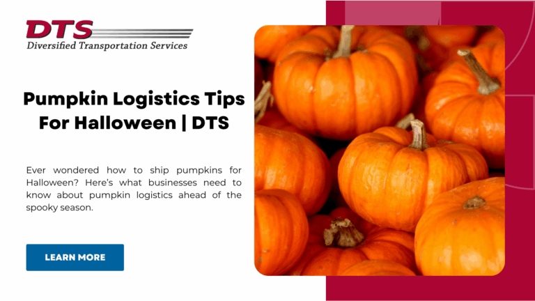 Pumpkin Logistics Tips For Halloween | DTS
